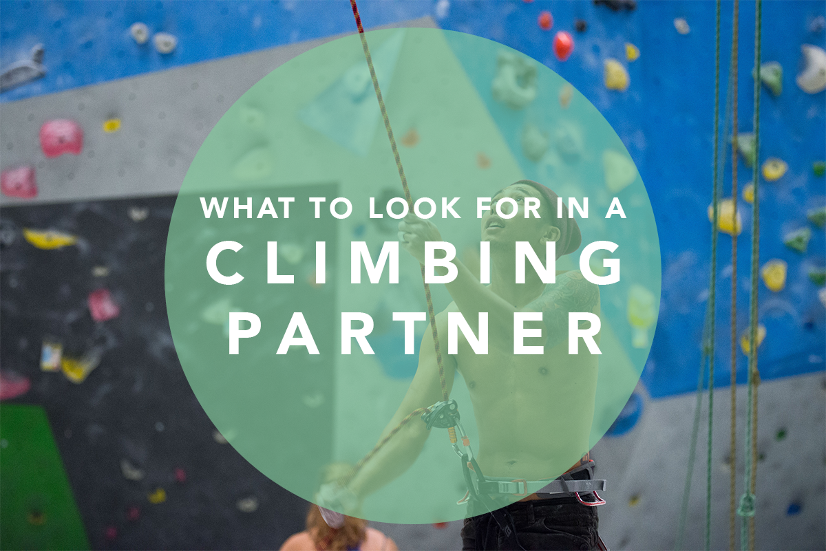 What to Look for in a Climbing Partner - Sender One Climbing