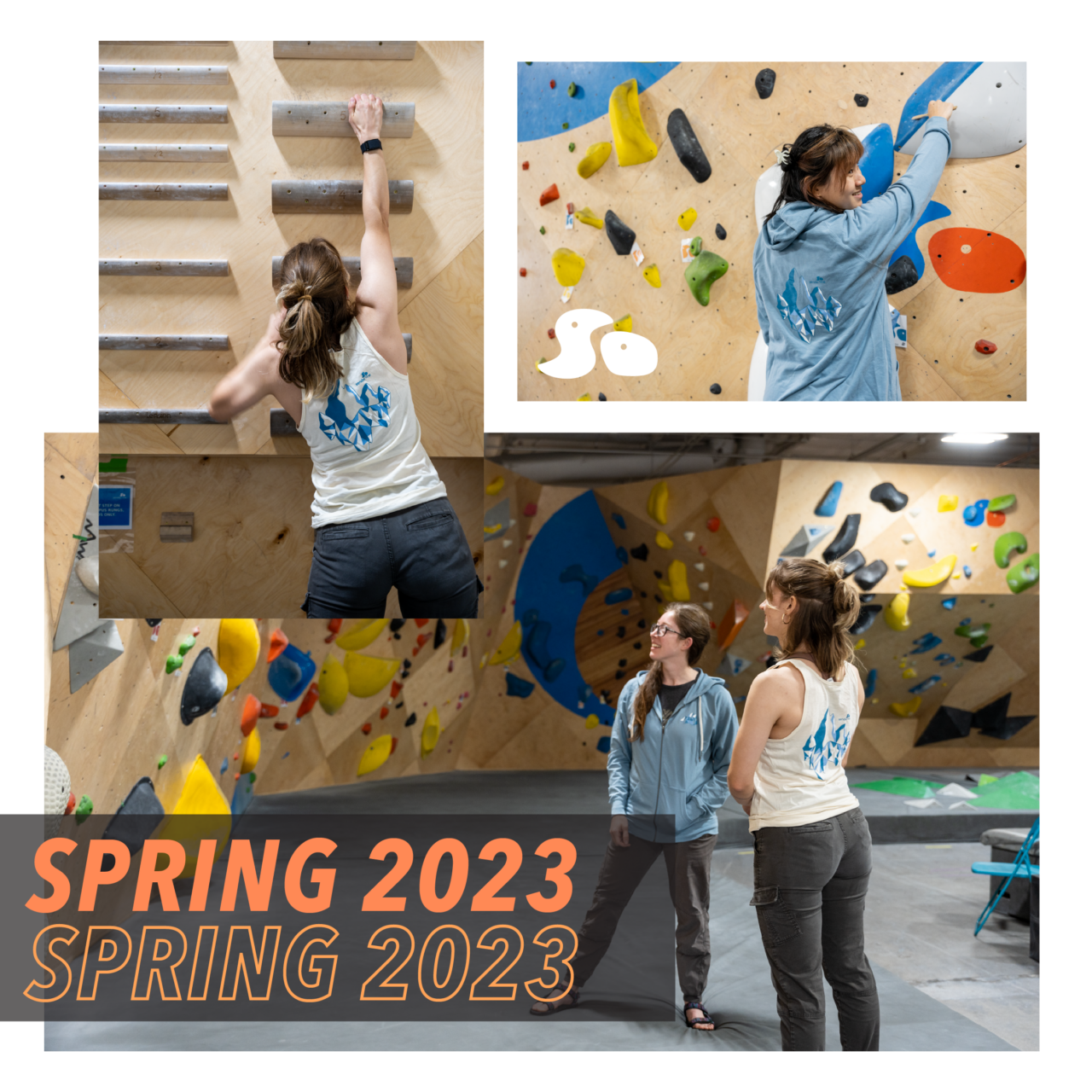 Staff Highlight: Sending with Dom Barry | Sender One Climbing Blog